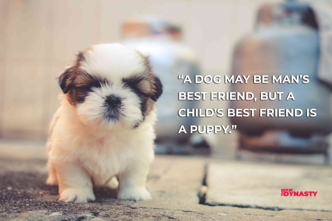 “A dog may be man’s best friend, but a child’s best friend is a puppy.”
